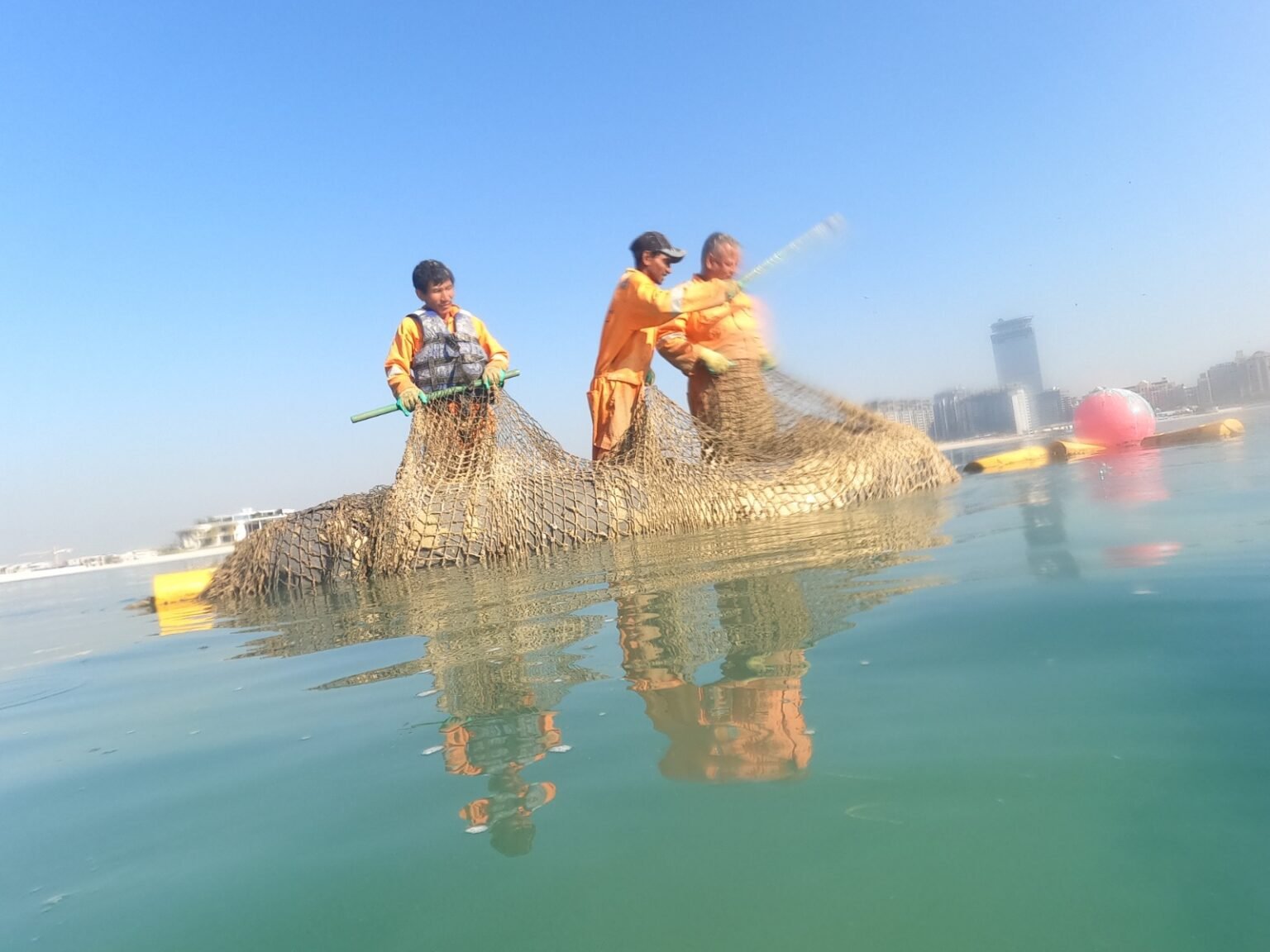 Jellyfish Net Maintenance – oceanmarinecontracting
